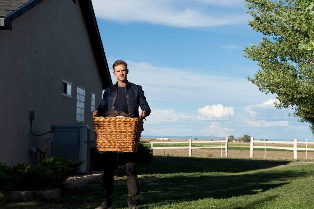 The Guest | Adam Wingard | In Review Online