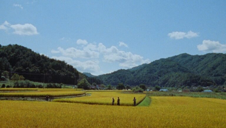 Riceboy Sleeps — Anthony Shim | In Review Online